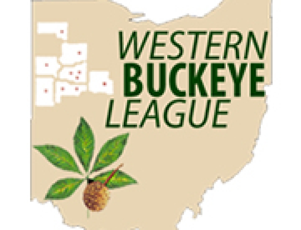 2025 OHSAA Boys Basketball Tournament Brackets – WBLSports.com | The ...